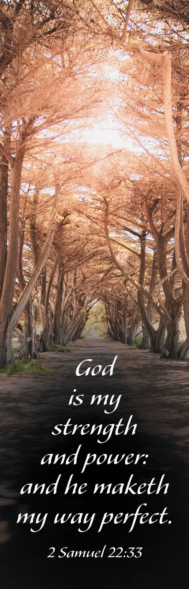 Inspirational Bookmark: My Strength (Package of 25): 2 Samuel 22:33 (K ...