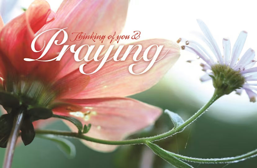 Inspirational Postcard: Thinking of You and Praying (Package of 25 ...
