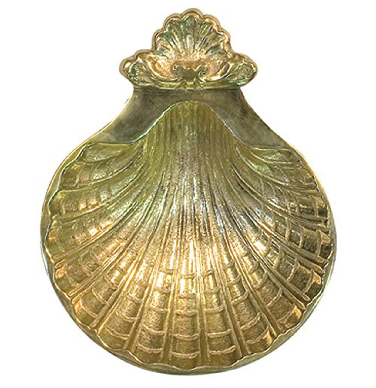 Baptismal Shell – CFaithS